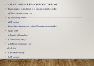 LUNG RESPIRATORY SYSTEM THORACIC CAVITY.ppt