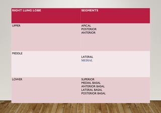 LUNG RESPIRATORY SYSTEM THORACIC CAVITY.ppt