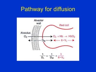 Lung-Diffusion-Capacity.ppt