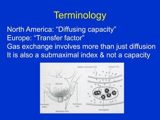 Lung-Diffusion-Capacity.ppt