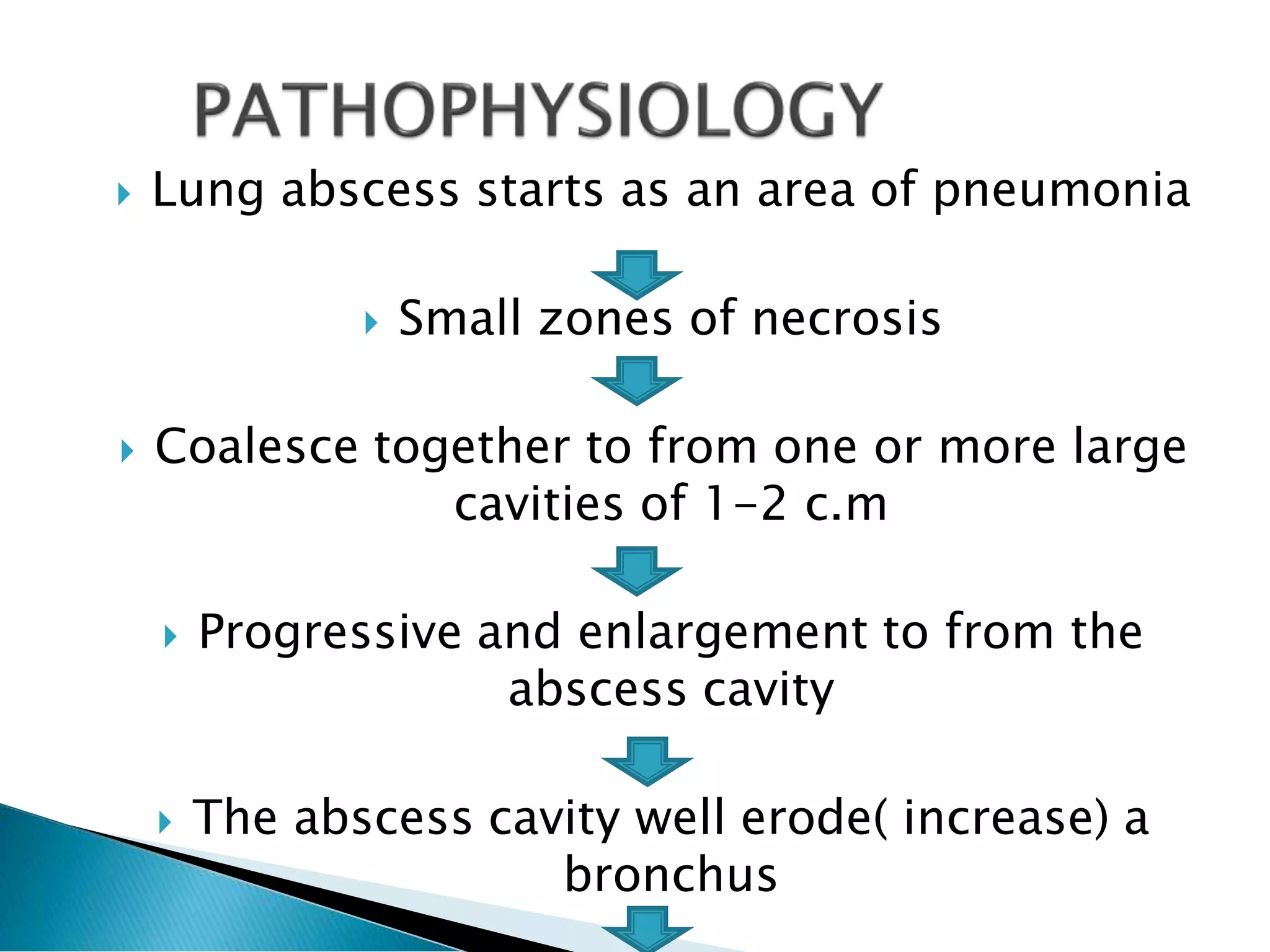 Lungs abscess | PDF