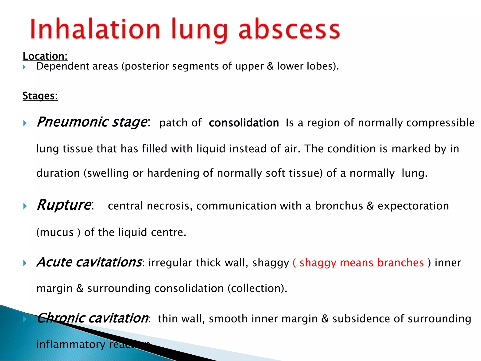 Lungs abscess | PDF