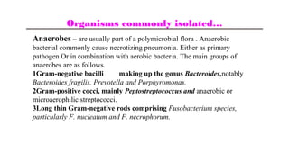 Lungabscess 171204080119 | PPT