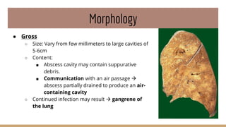 lungabscess-210521150300.pdf | Lung and Respiratory Health | Diseases ...