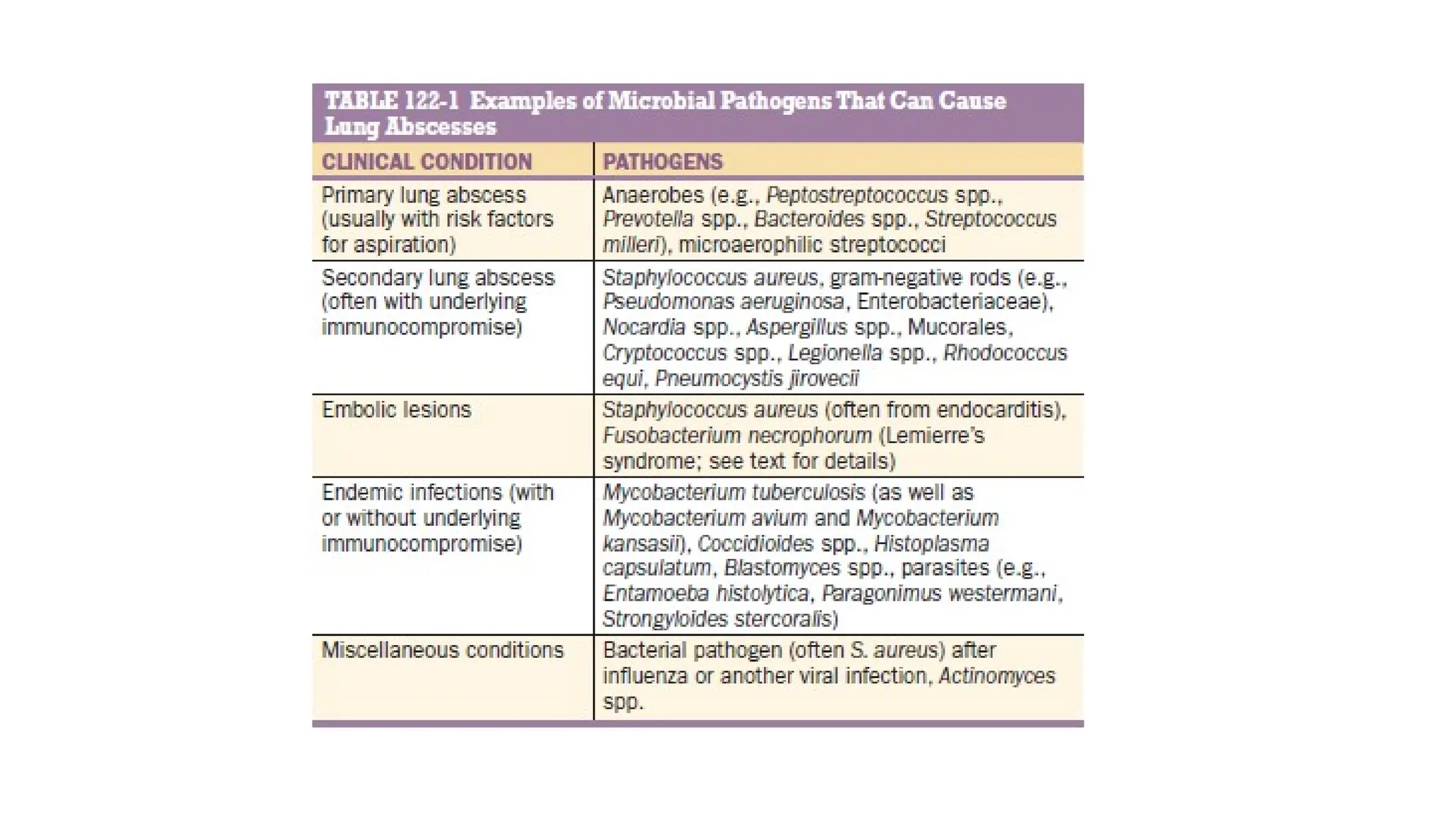 lung abscess-types, clinical features, treatment | PPTX