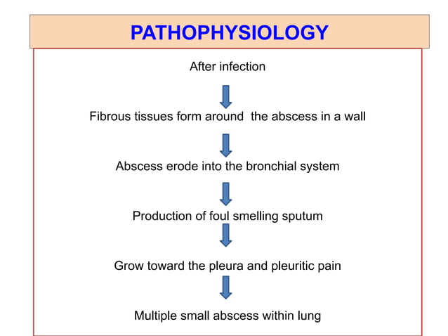 chapter -iv respiratory system Lung Abscess.pptx