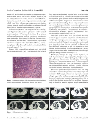 Lung abscess-etiology, diagnostic and treatment options-2015.pdf | Lung ...