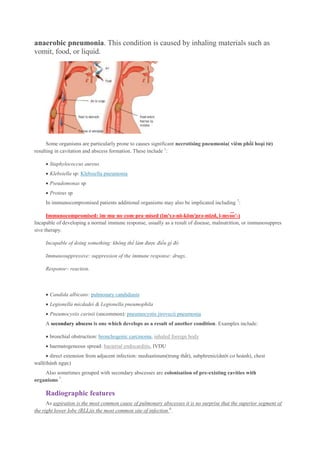 Lung abscess pdf | PDF