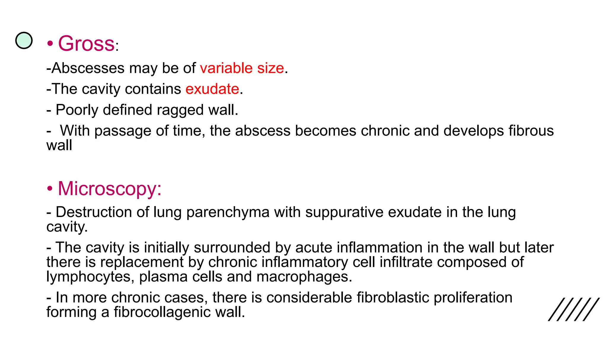 Lung Abscess and Pneumonia (Pathology) | PPTX