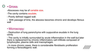 Lung Abscess and Pneumonia (Pathology) | PPTX