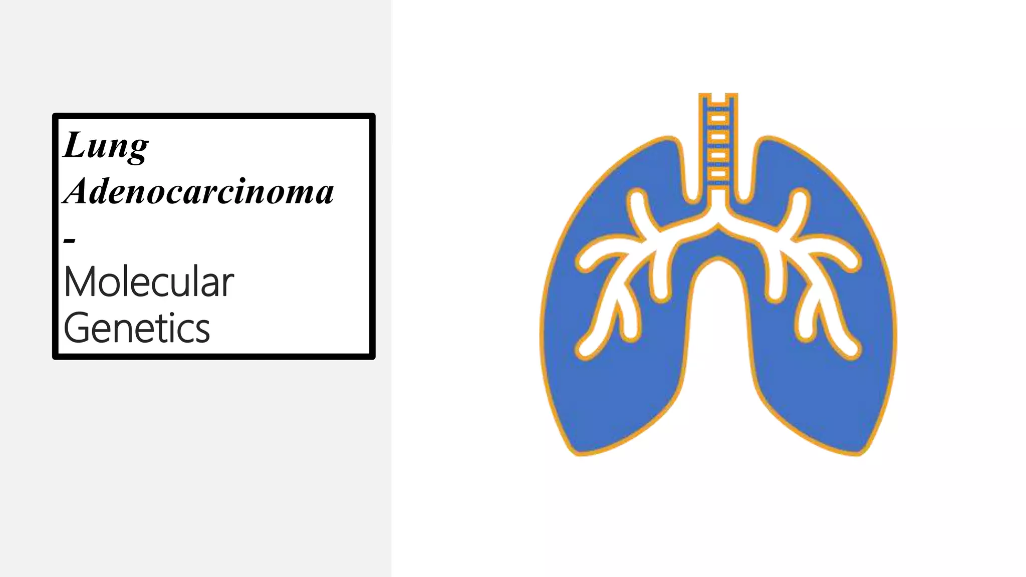 Lung adenocarcinoma -molecular pathology | PPTX