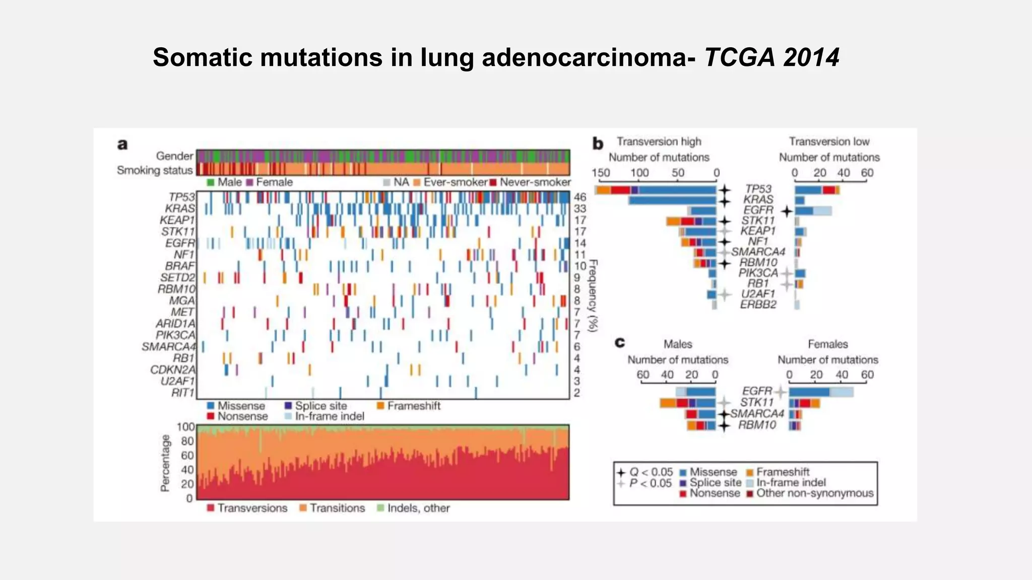 Lung adenocarcinoma -molecular pathology | PPTX