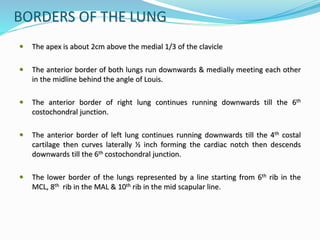 Lymph nodal stations in ca lung | PPTX
