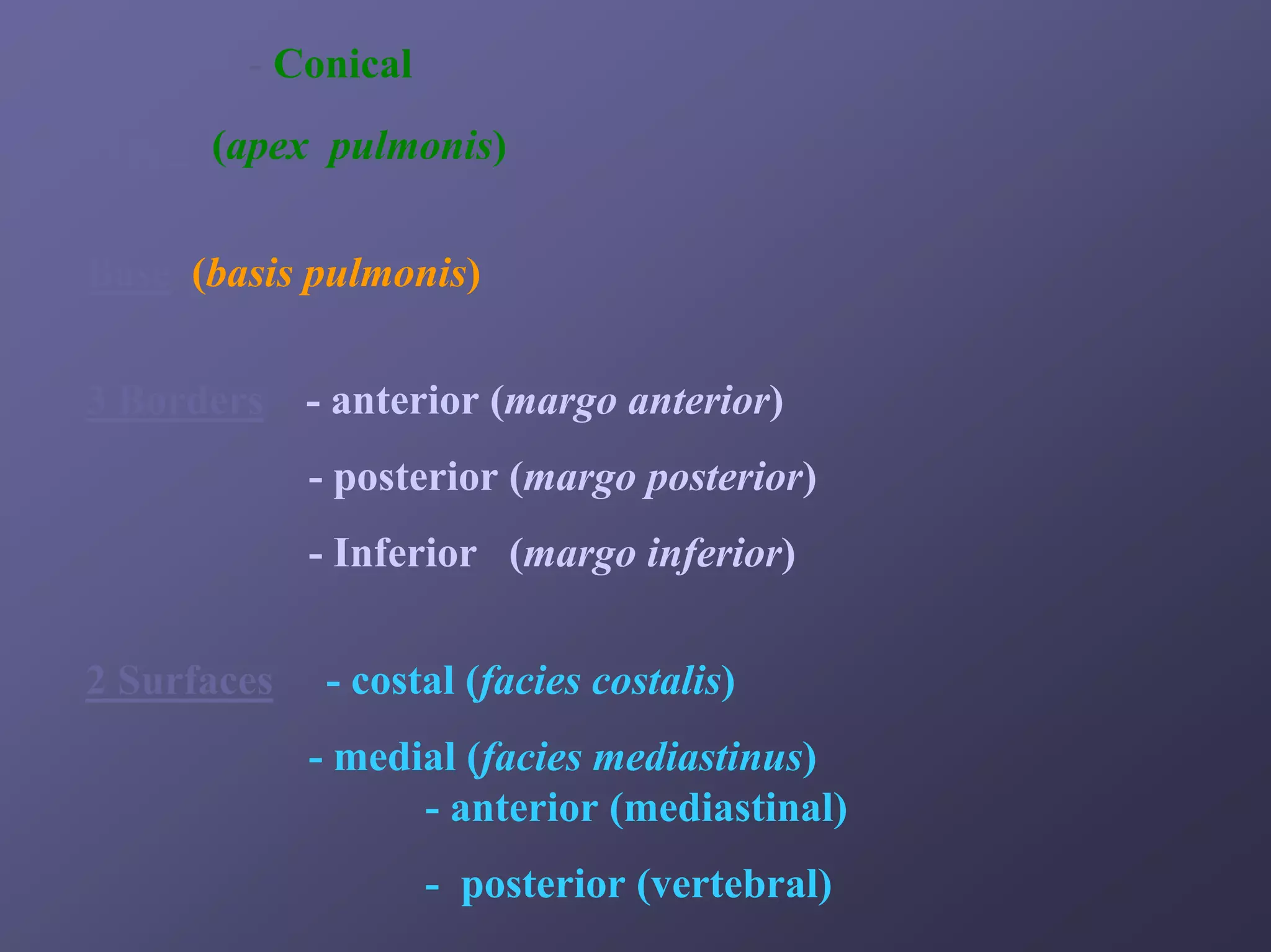 Lung anatomy. | PDF