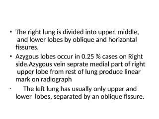 LUNG ANATOMY AND DEVELOPMENT presentation | PPTX