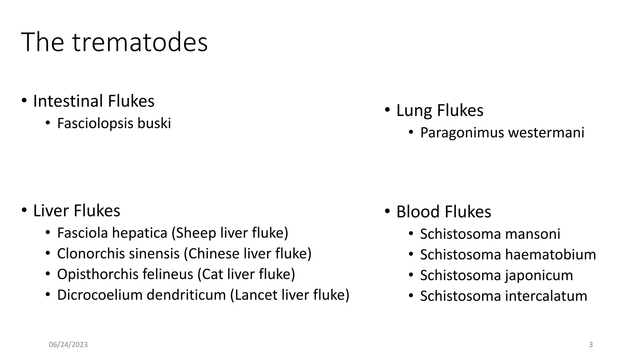 Lung and Liver Flukes - Parasitology Group 3 Presentation.pdf