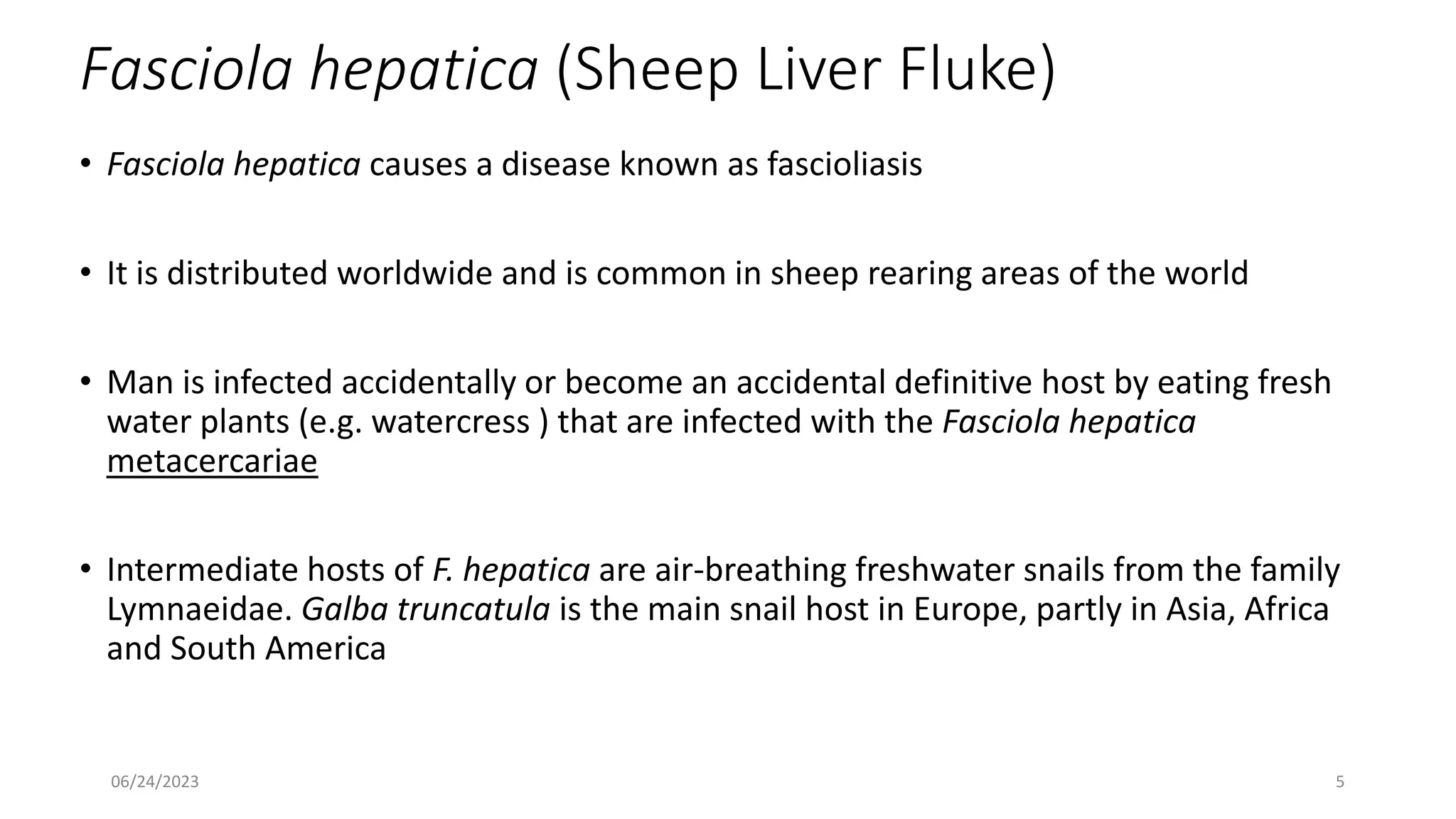 Lung and Liver Flukes - Parasitology Group 3 Presentation.pdf
