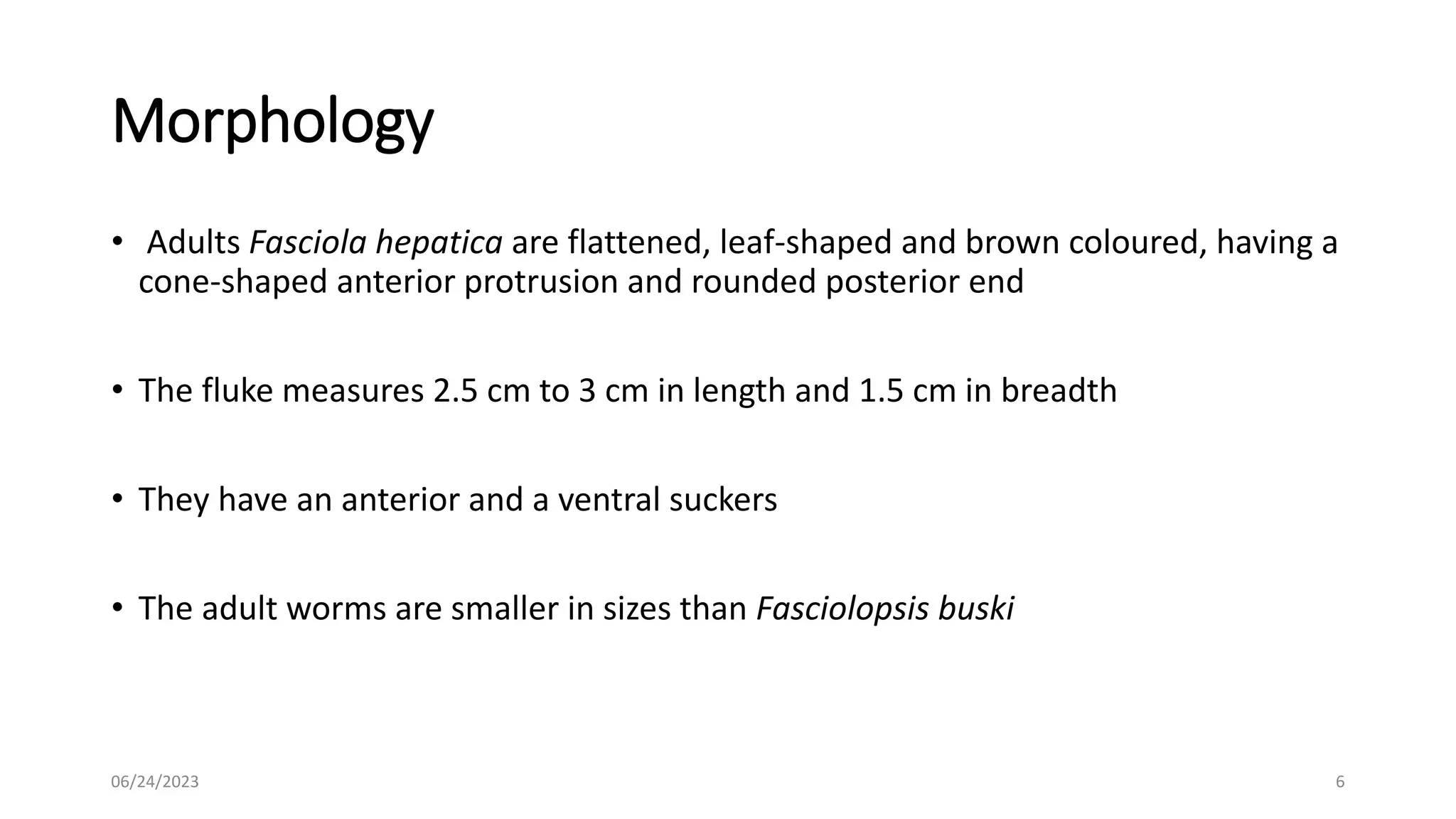 Lung and Liver Flukes - Parasitology Group 3 Presentation.pdf
