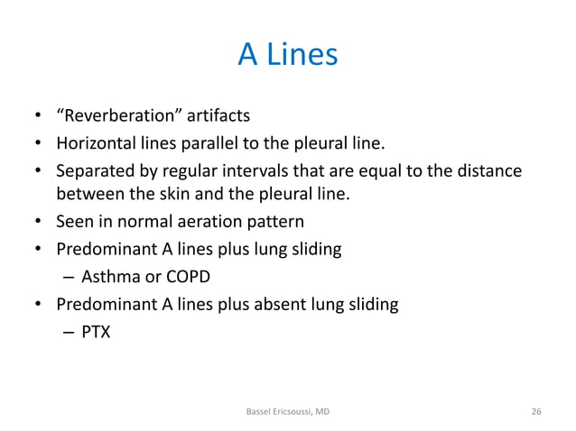 Lung and Pleural Ultrasonography - Ultrasound Guided Vascular Access ...