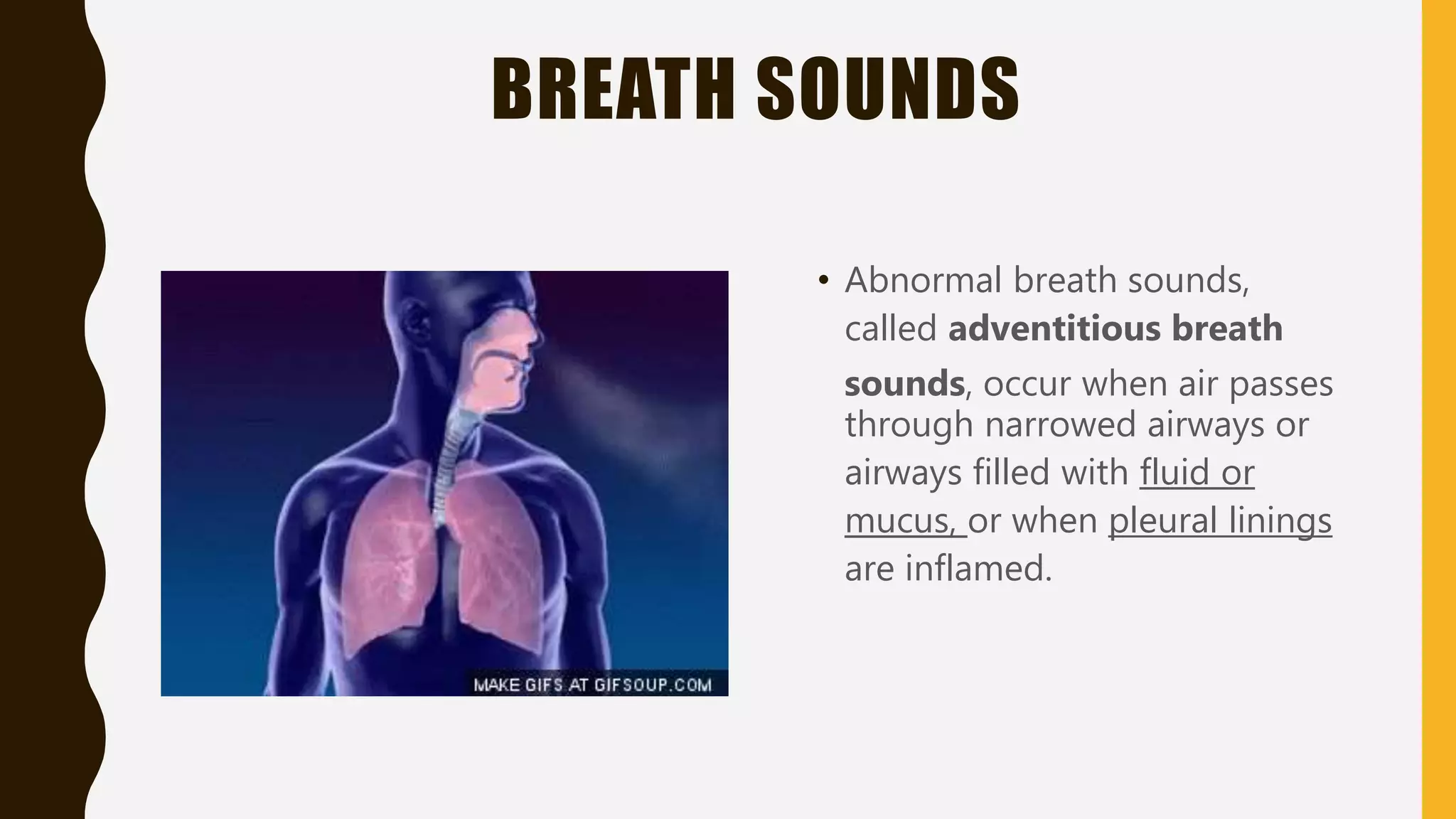 Lung assessment part 2 (Lung Sounds) | PPTX