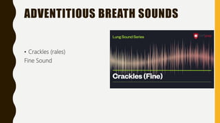 Lung assessment part 2 (Lung Sounds) | PPTX
