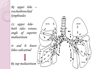 ANATOMY,PATHOLOGY, INVESTIGATIVE WORK –UP AND STAGING OF LUNG CANCER | PPT
