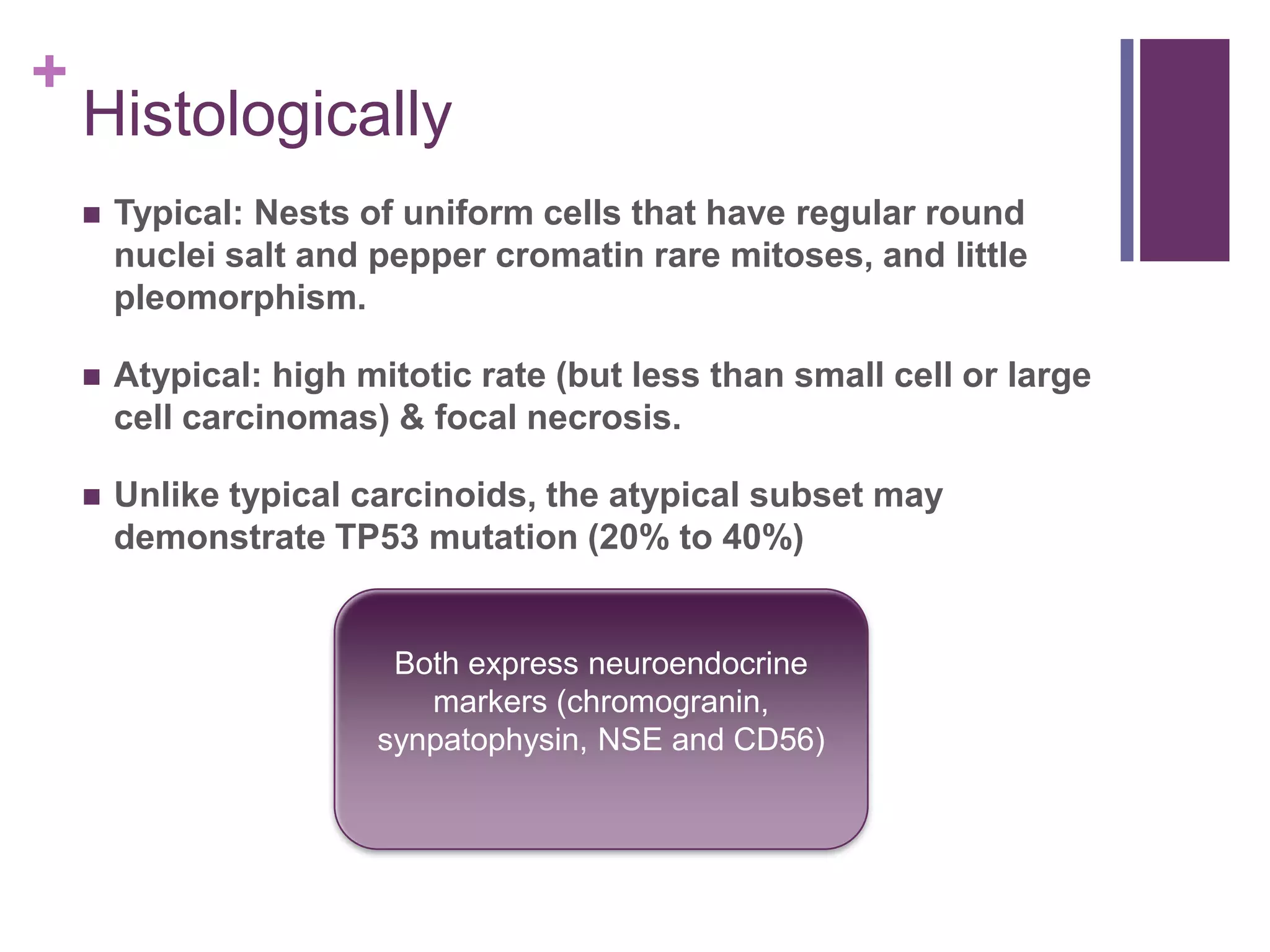 Lung Cancer Pathology & Clinical | PPTX