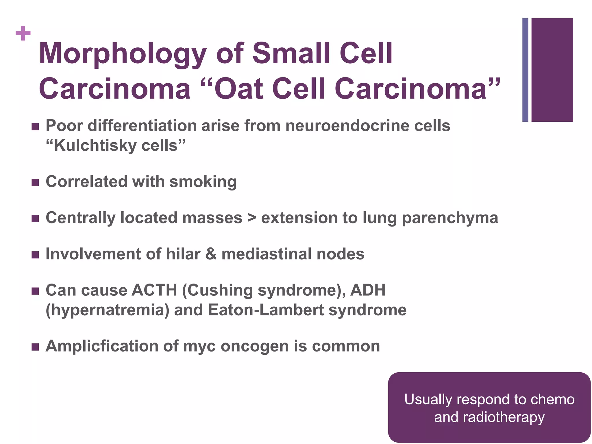 Lung Cancer Pathology & Clinical | PPTX