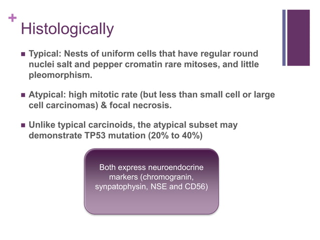 Lung Cancer Pathology & Clinical | PPTX