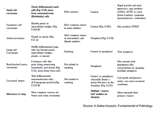 Lung Cancer Pathology & Clinical | PPTX