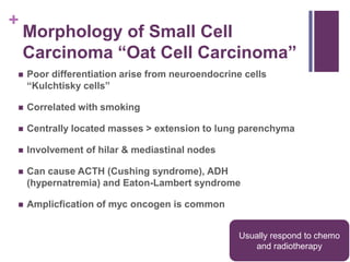 Lung Cancer Pathology & Clinical | PPTX