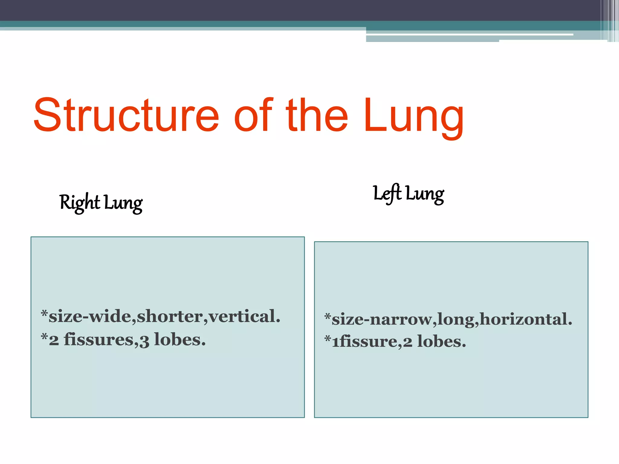 Lung cancer | PPTX