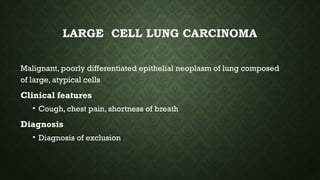 Lung Cancer with major classification.pptx