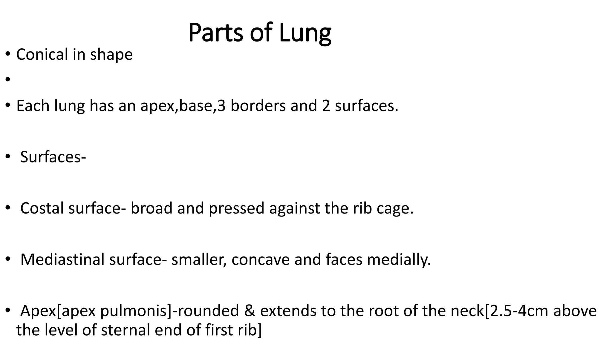 Lung cancer anatomy to pathological classification | PPTX