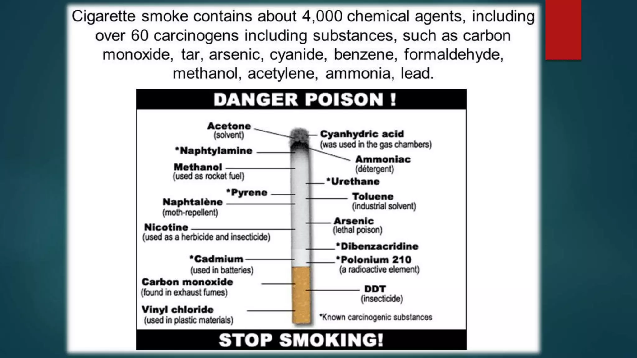 Lung Cancer - Rivin | PPT