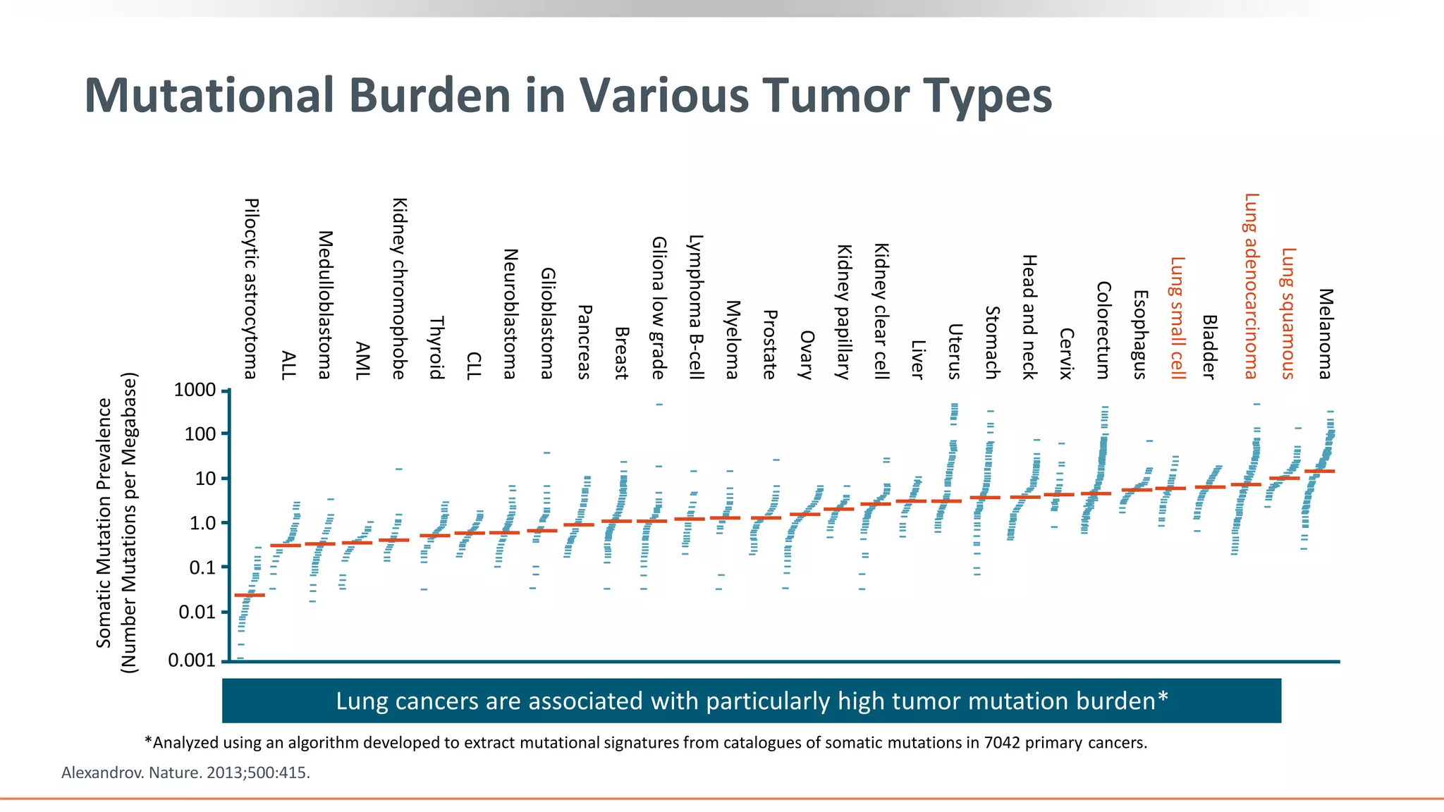 lung cancer ppt.pptx