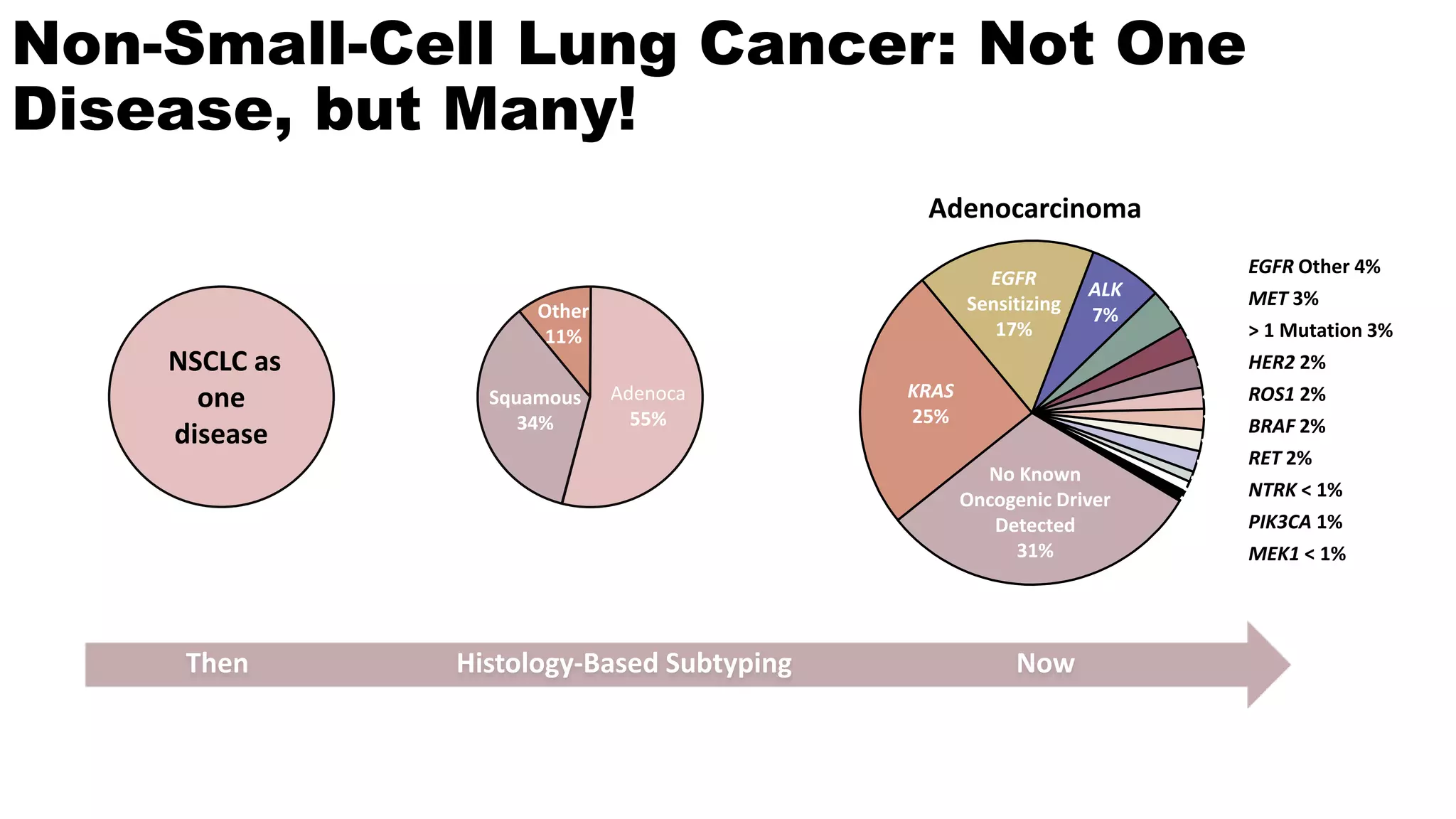lung cancer ppt.pptx