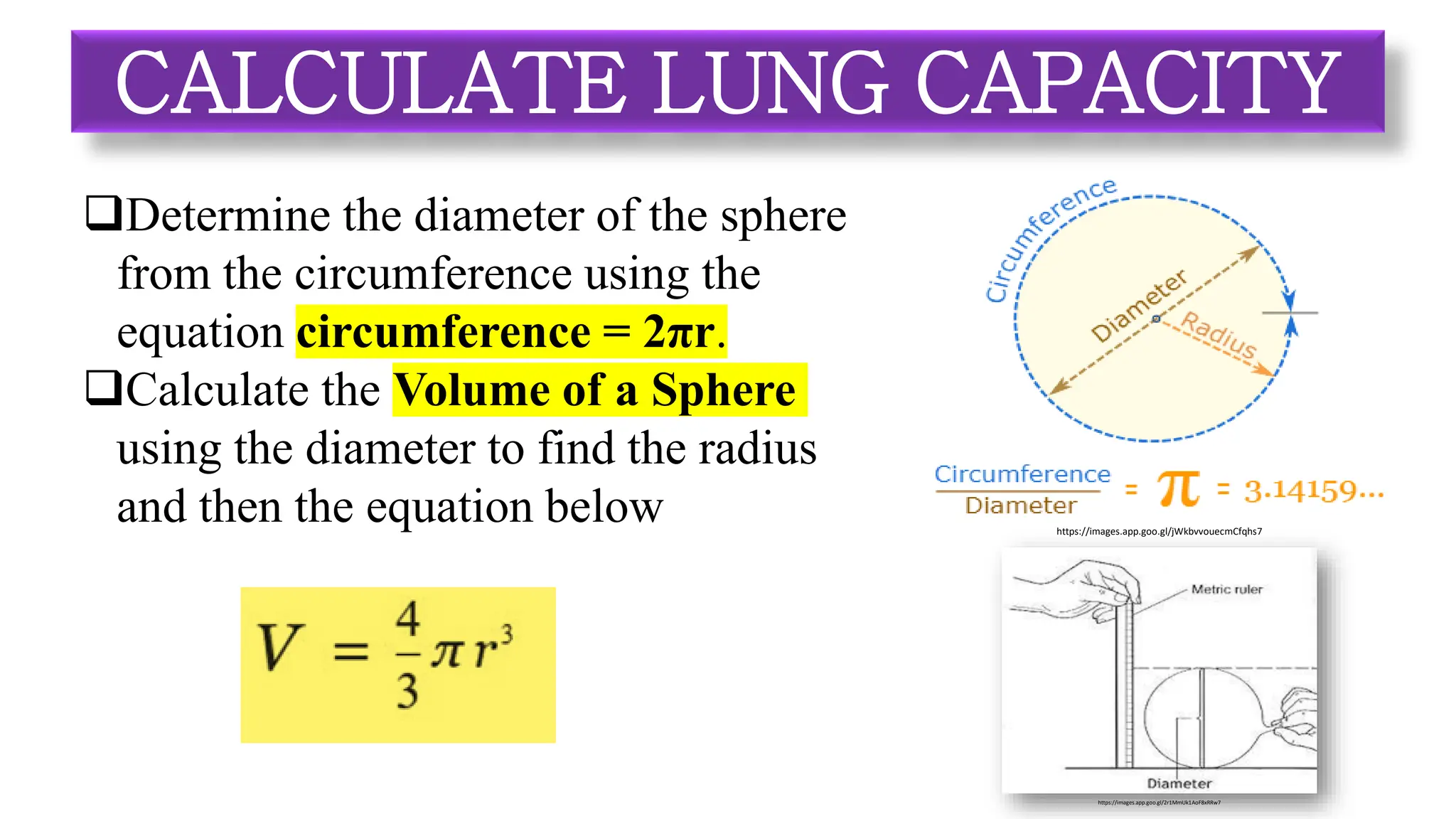 Aim: To estimate vital capacity of lungs using balloons | PPT