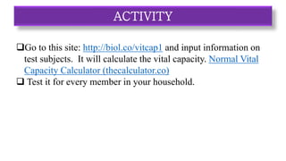 Aim: To estimate vital capacity of lungs using balloons | PPT