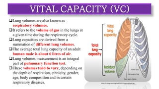 Aim: To estimate vital capacity of lungs using balloons | PPT