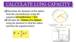 Aim: To estimate vital capacity of lungs using balloons | PPT