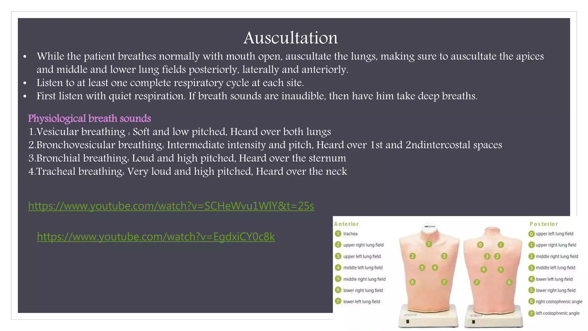 chest & Lung examination | PPTX
