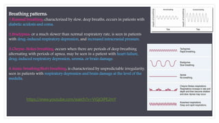 chest & Lung examination | PPTX