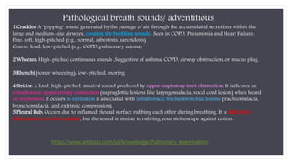 chest & Lung examination | PPTX
