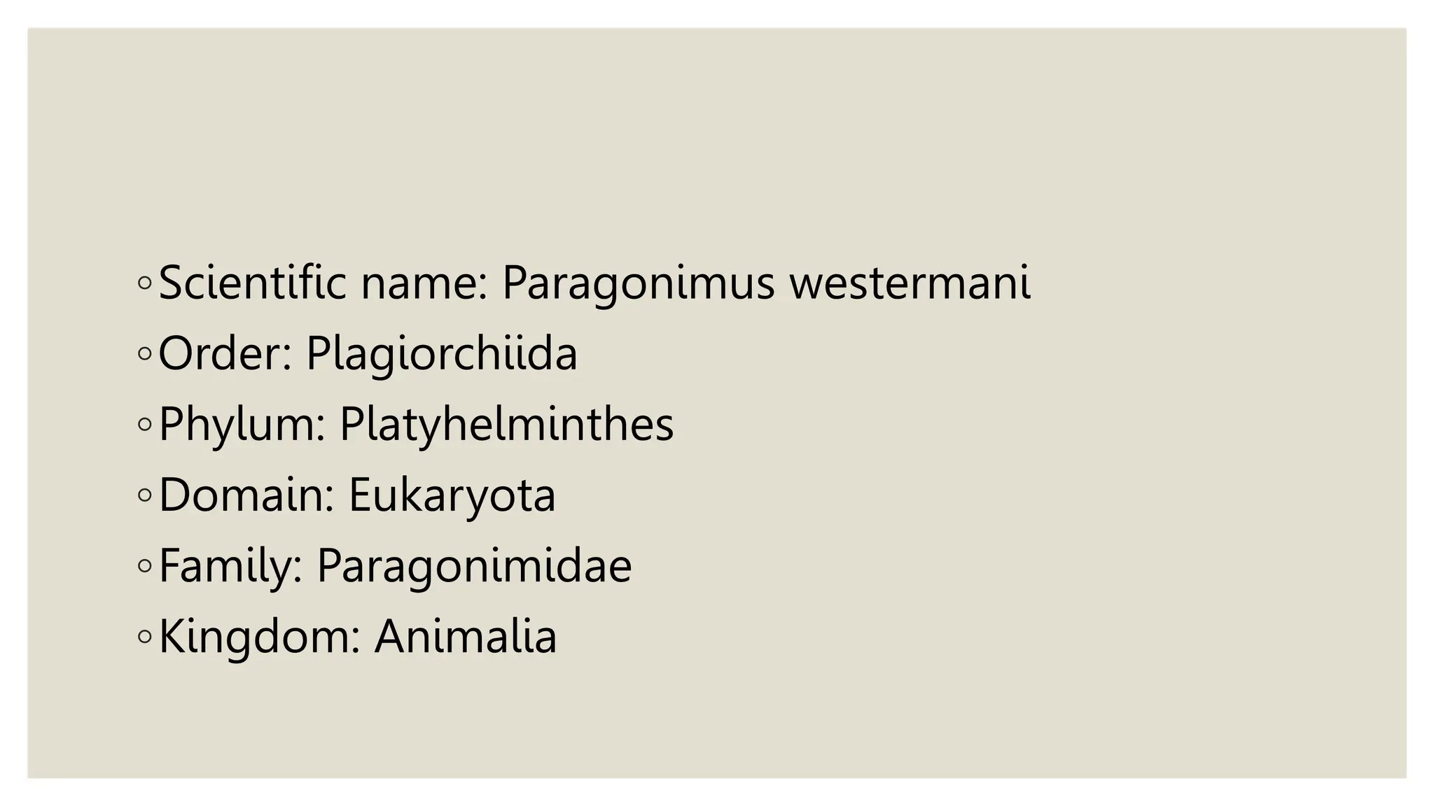 LUNG FLUKE Paragonimus westermani lung fluke | PPTX