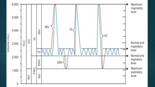 lung function tests.pptx