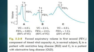 lung function tests.pptx