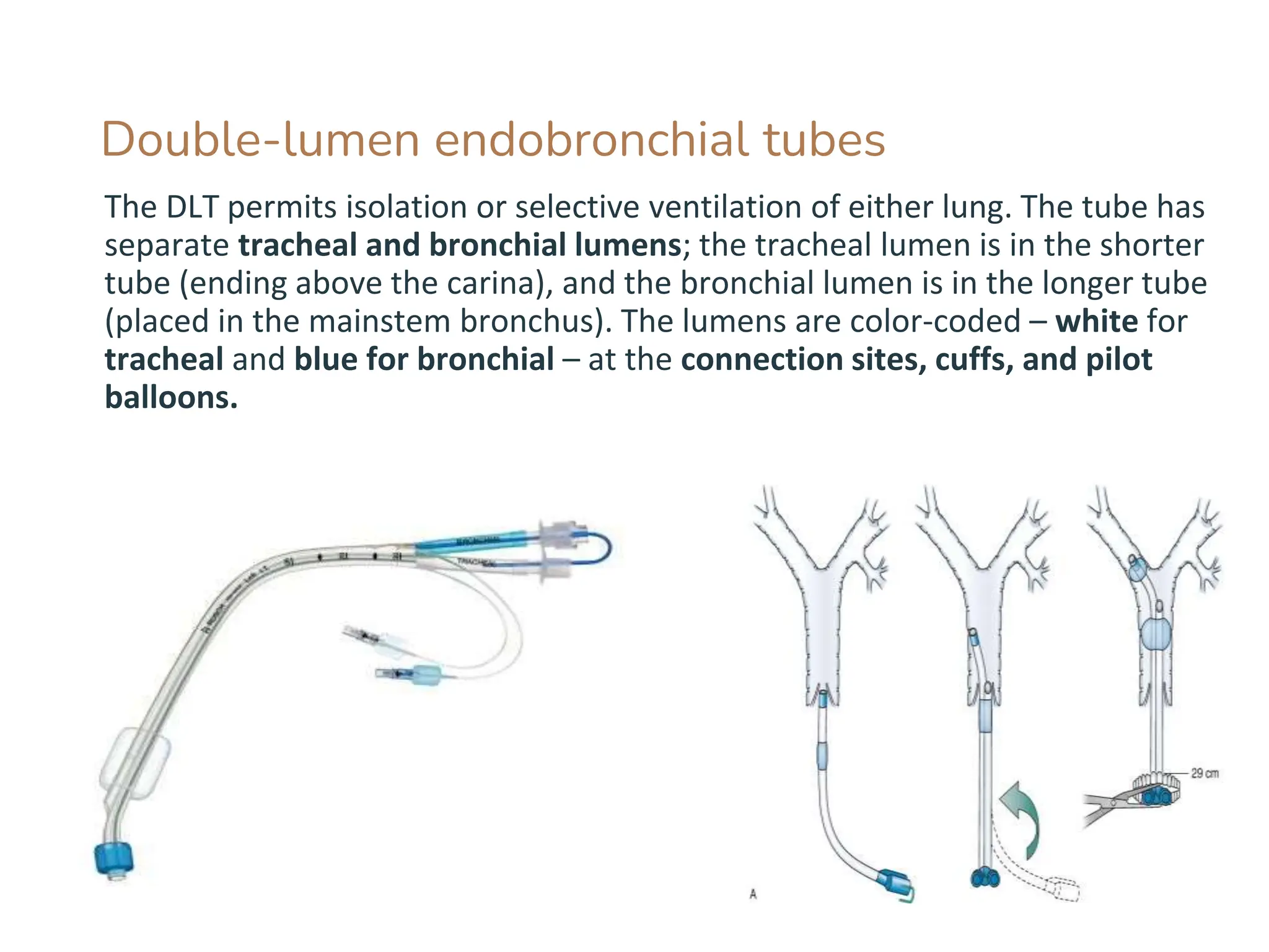 LUNG ISOLATION techniques and one lung ventilation | PPTX