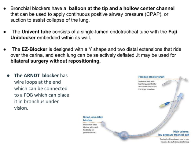 LUNG ISOLATION techniques and one lung ventilation | PPTX
