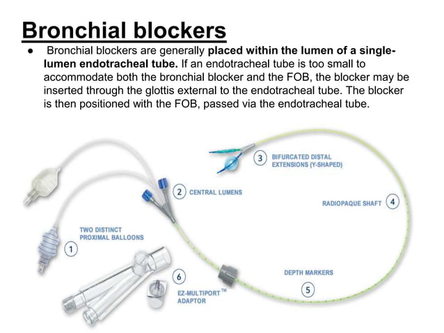 LUNG ISOLATION techniques and one lung ventilation | PPTX